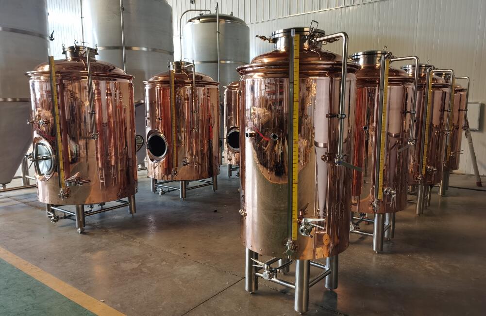 350l 500l 1000l 1500l Brandy wine fermentation tank ship to Argentina ...