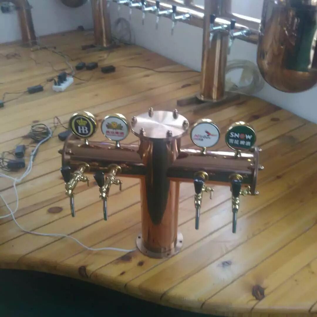 Draft Beer Brewing Supplies | Beer dispense supplies | TIANTAI® 1-200hl ...