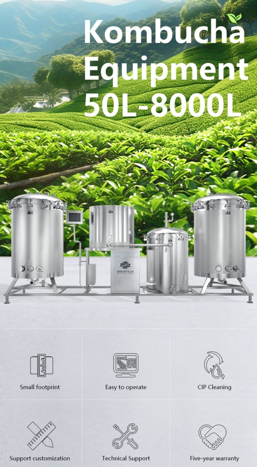 ¿Cómo hacer una SCOBY en la elaboración industrial de Kombucha ...